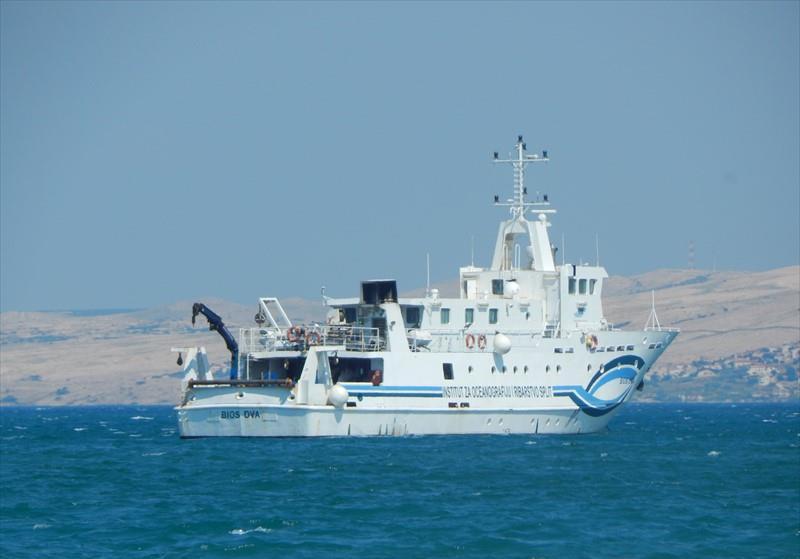 BIOS DVA - Vesseljoin