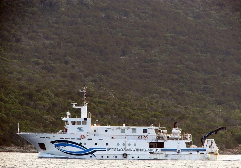 BIOS DVA - Vesseljoin