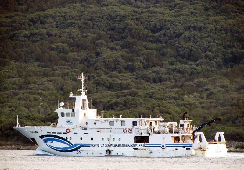 BIOS DVA - Vesseljoin