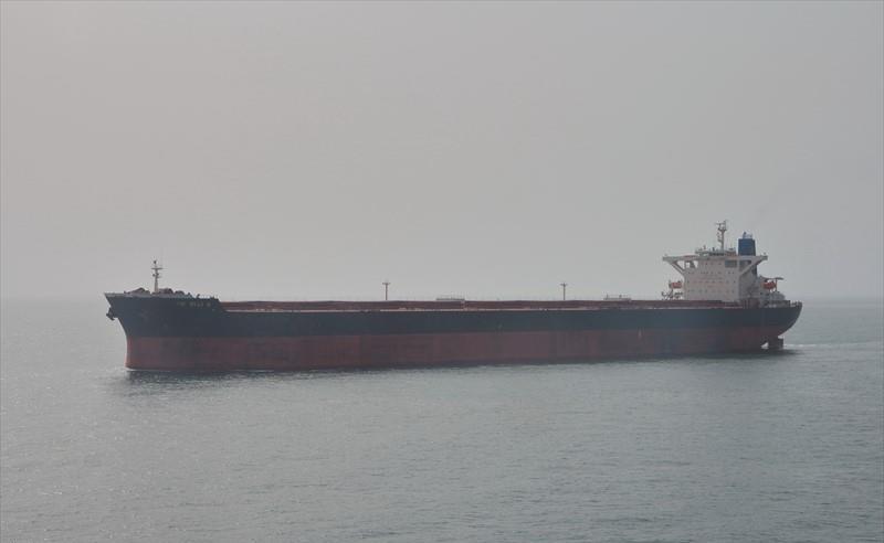 CIC ELLI S - Vesseljoin