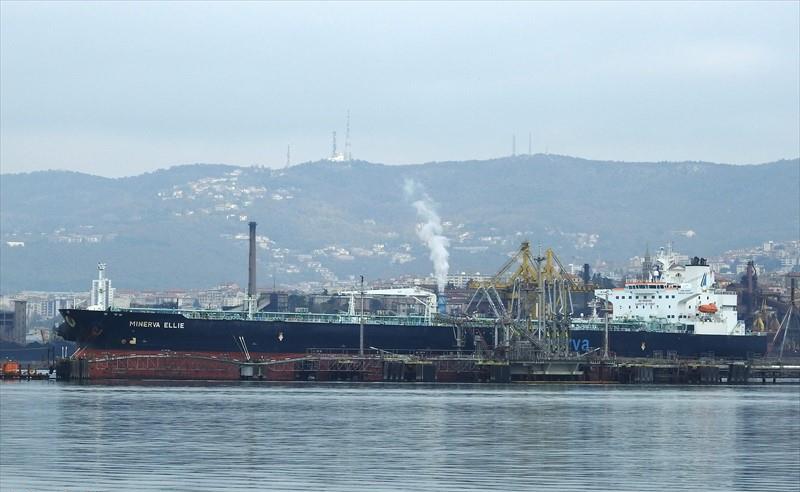 MINERVA ELLIE - Vesseljoin