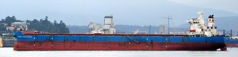 ANTONIS ANGELICOUSSIS - Vesseljoin