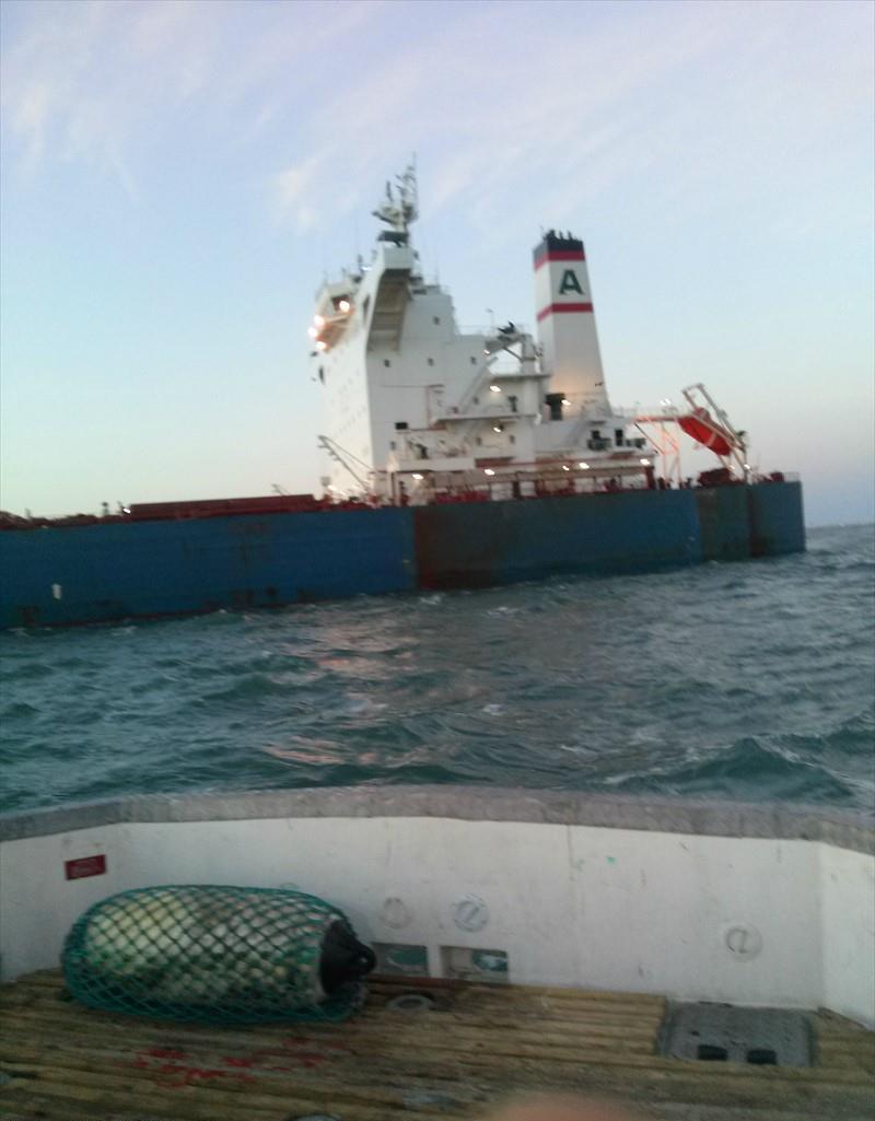 ALPHA FREEDOM - Vesseljoin