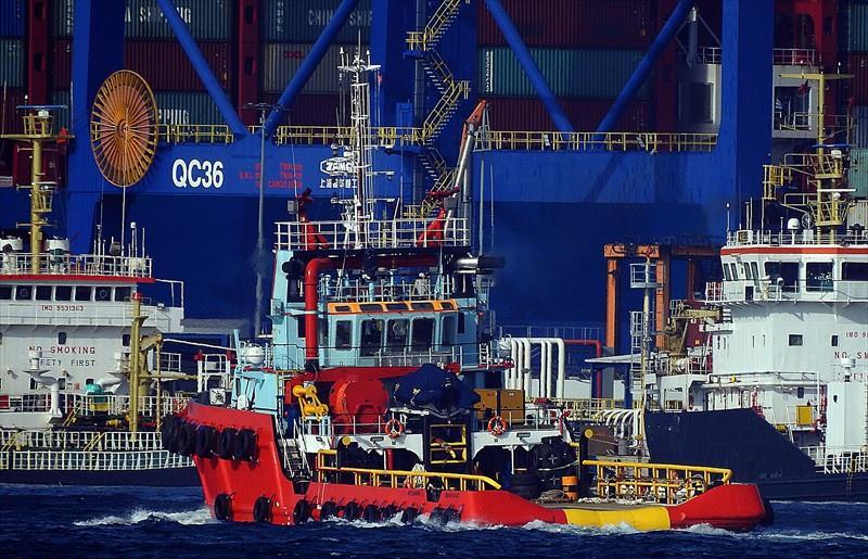 DOLPHIN I - Vesseljoin