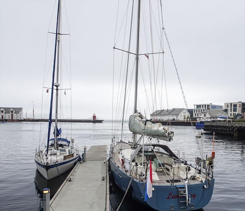 LION KING - Vesseljoin