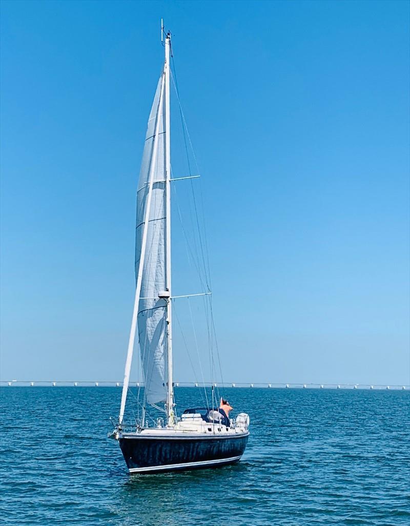 MOCKINGBIRD - Vesseljoin