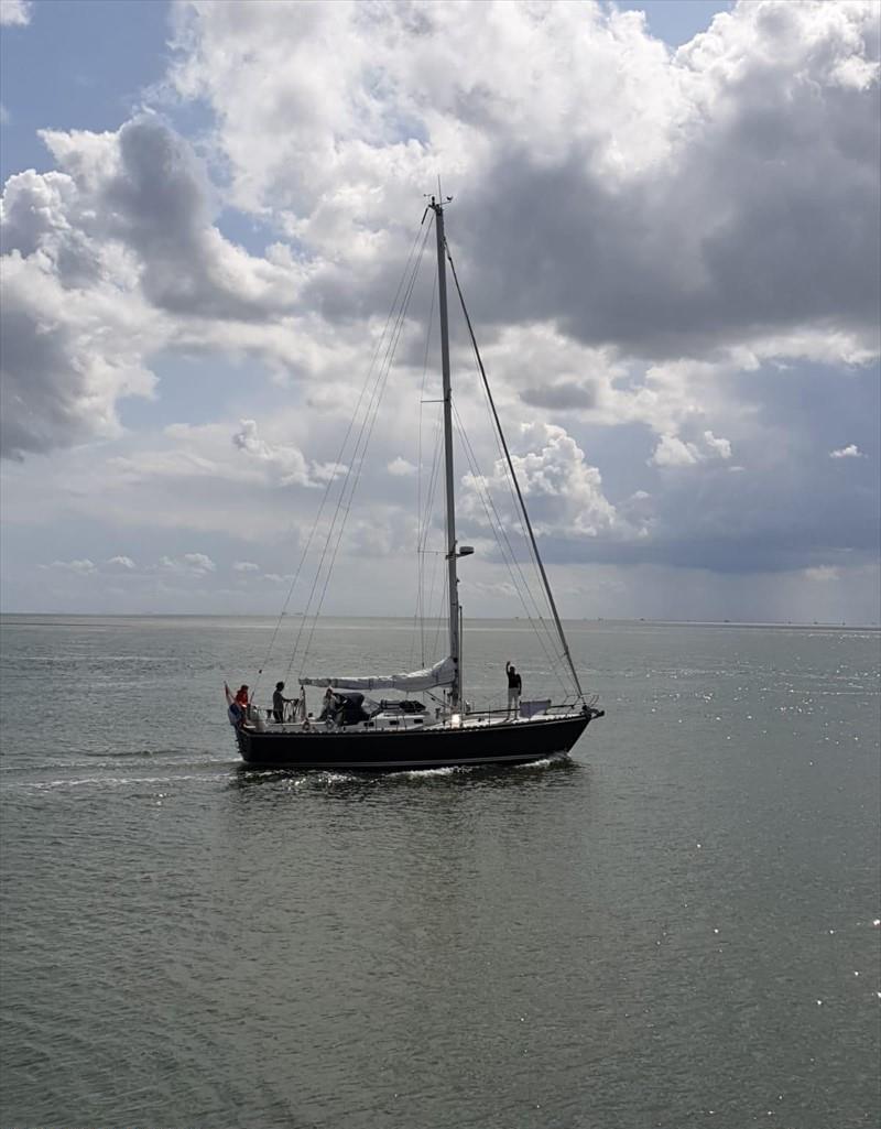 MOCKINGBIRD - Vesseljoin