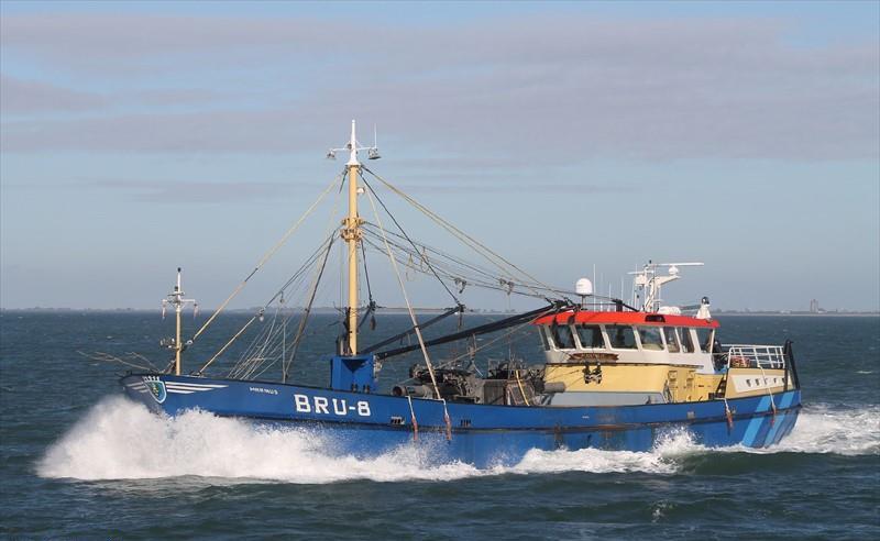 MARINUS - Vesseljoin