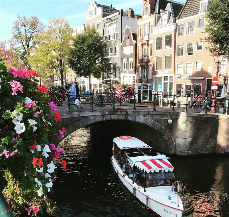 DELPHINE - Vesseljoin