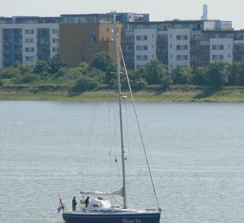 BLAUWE IRIS - Vesseljoin