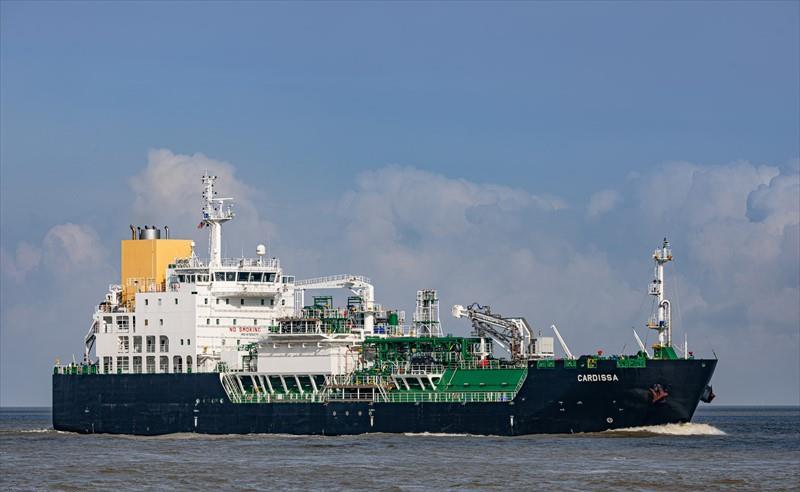 CARDISSA - Vesseljoin