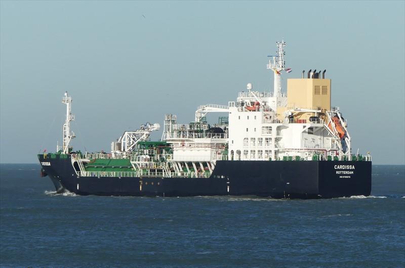 CARDISSA - Vesseljoin