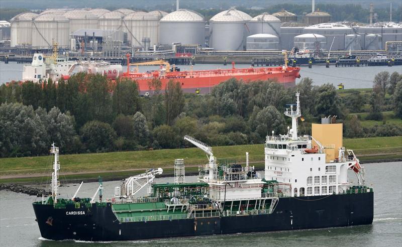 CARDISSA - Vesseljoin