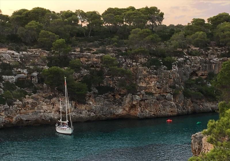 ROS BEYAERT - Vesseljoin