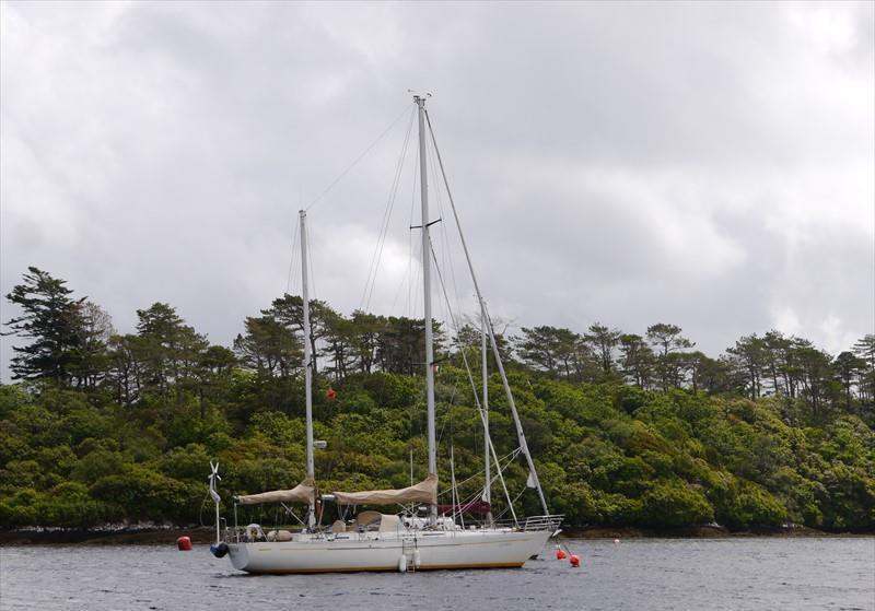 LADY ROSE - Vesseljoin