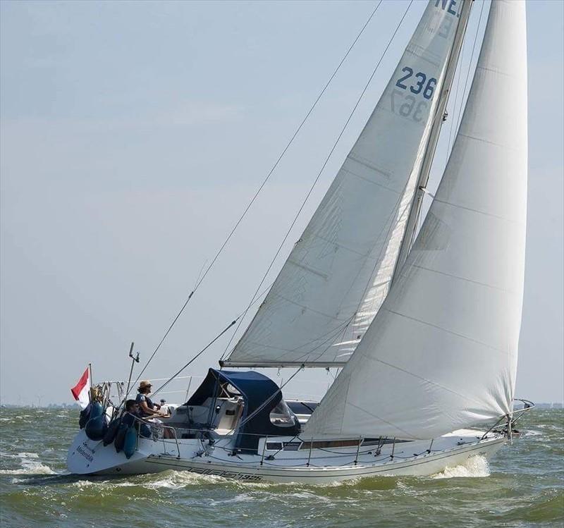 ROLLING STONE - Vesseljoin