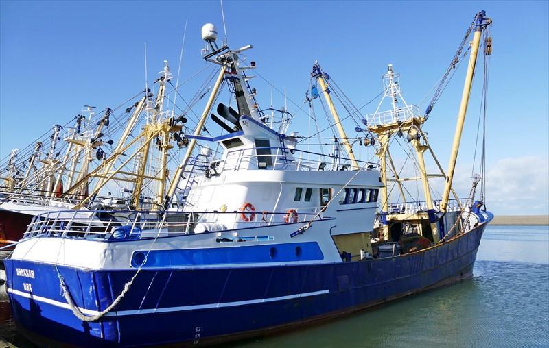 DRAKKAR - Vesseljoin