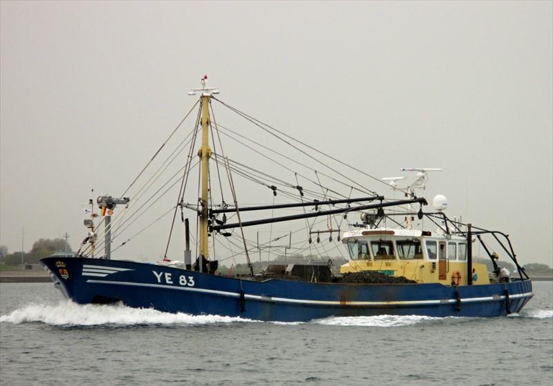 SCHELPDIER - Vesseljoin