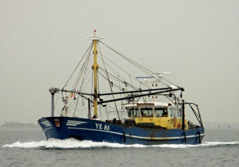 SCHELPDIER - Vesseljoin