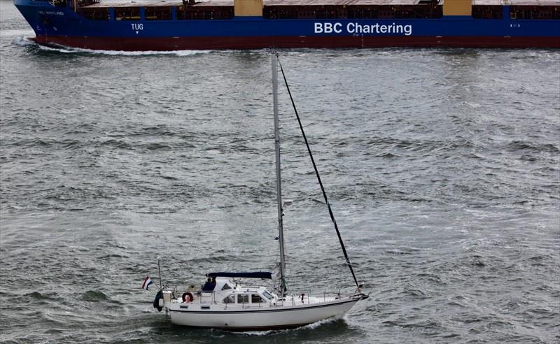 SILVER CREST - Vesseljoin