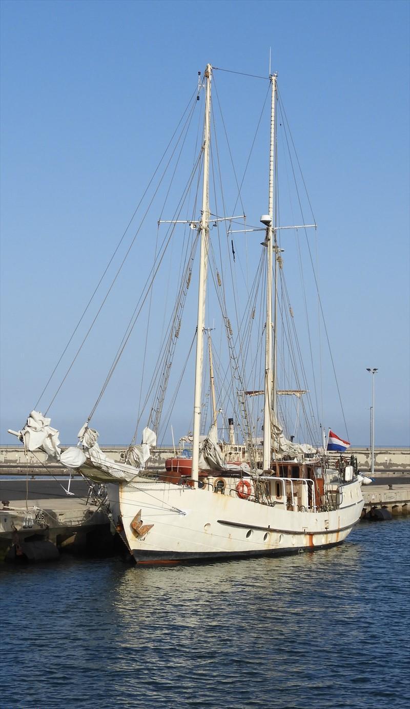 ARKA KINARI - Vesseljoin