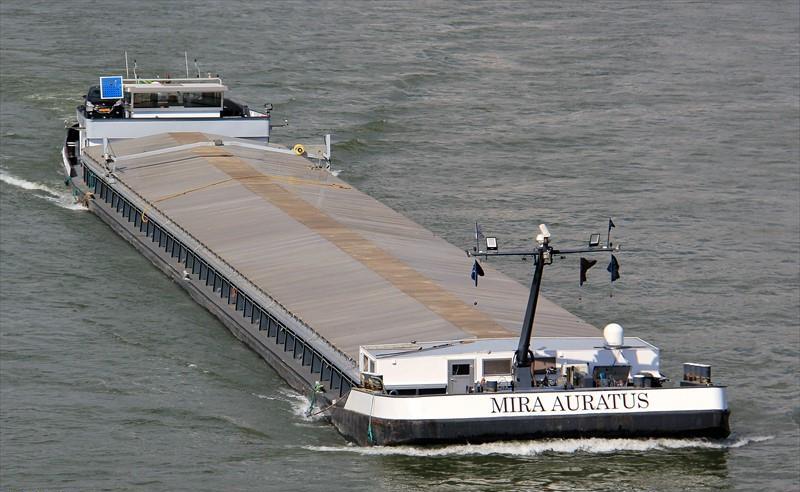 MIRA AURATUS - Vesseljoin