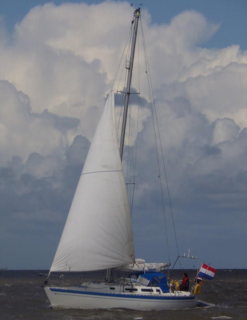 LITTLE WING - Vesseljoin