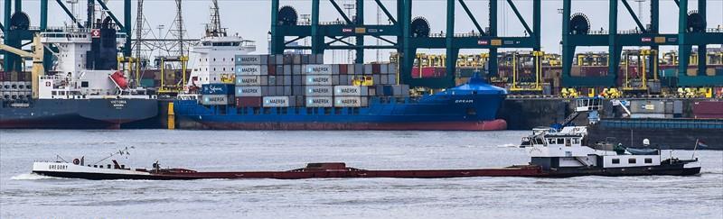 GREGORY - Vesseljoin