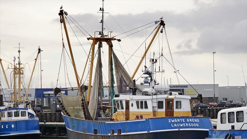 LO 20 ZWARTEAREND - Vesseljoin