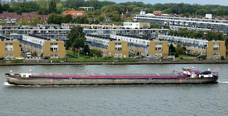 MONTANA - Vesseljoin