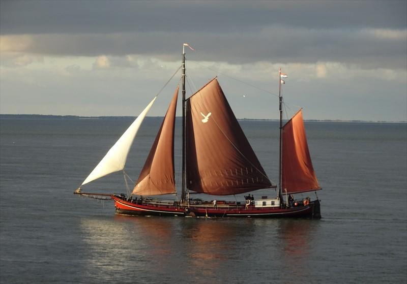 ZWARTE VALK - Vesseljoin