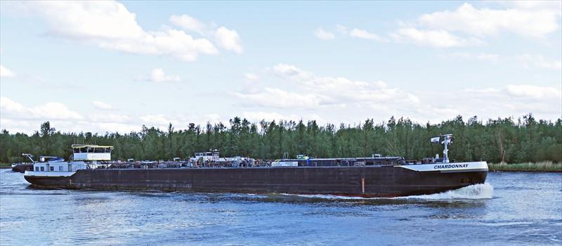 CHARDONNAY - Vesseljoin