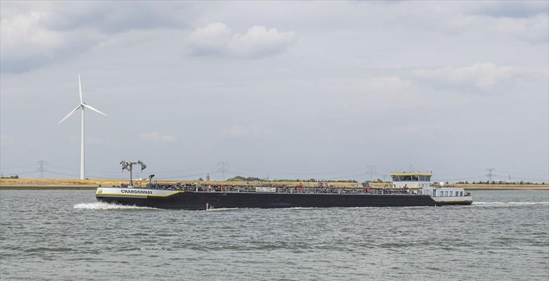 CHARDONNAY - Vesseljoin