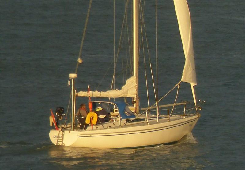 IL MORO AMSTERDAM - Vesseljoin