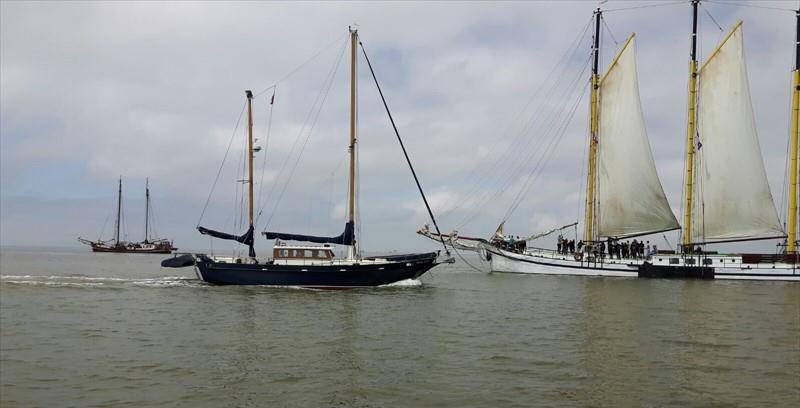 MOBY DICK - Vesseljoin