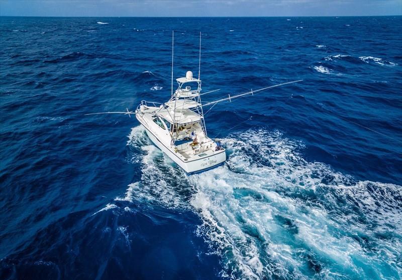 ICE BLUE - Vesseljoin