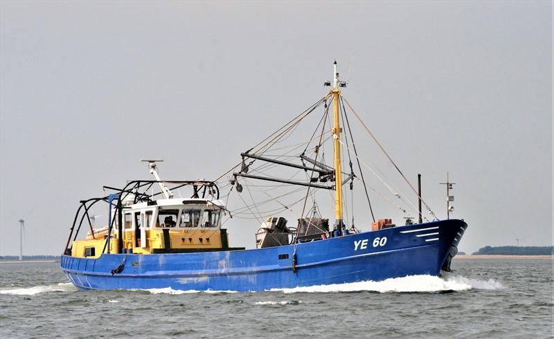 YE 60 VERTROUWEN - Vesseljoin