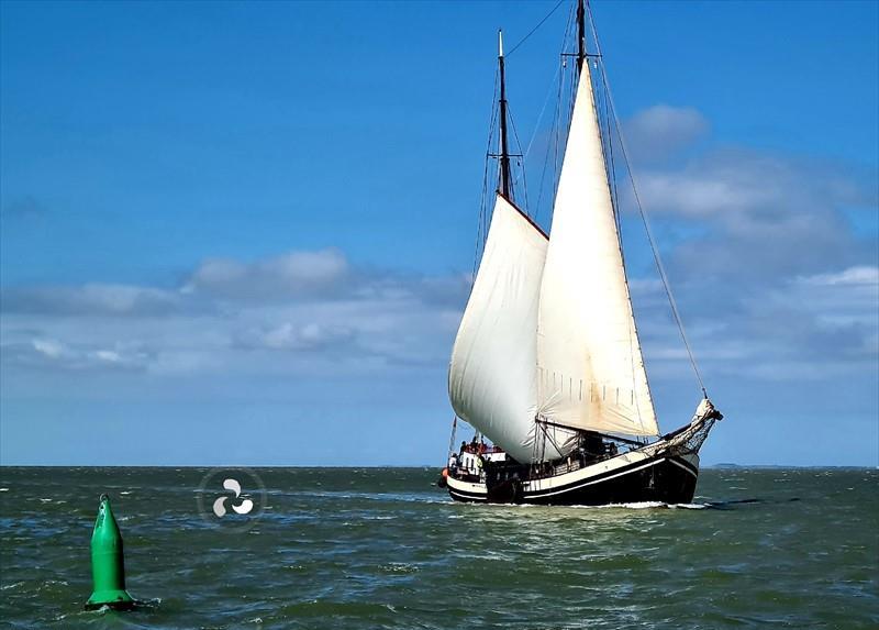 MINERVA - Vesseljoin