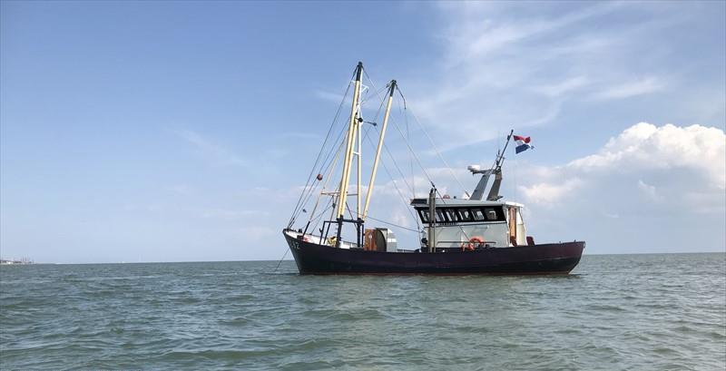 DZ82 NOVA CURA - Vesseljoin