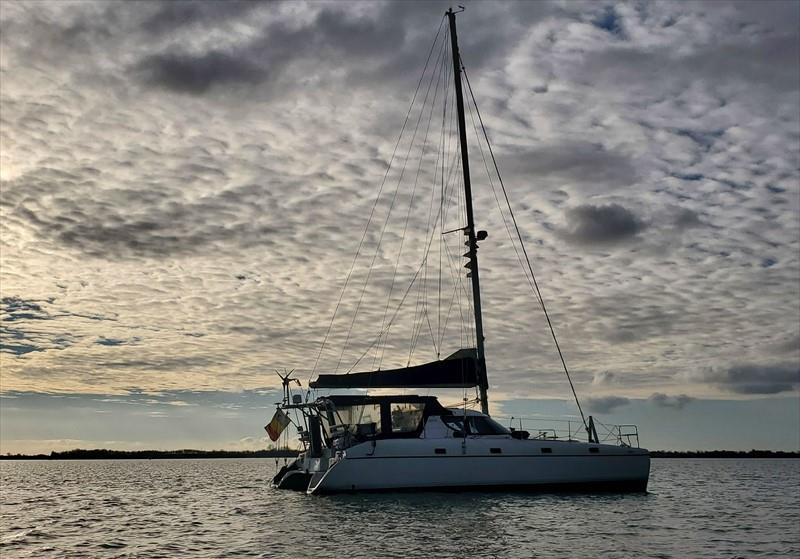 BIG CAT - Vesseljoin