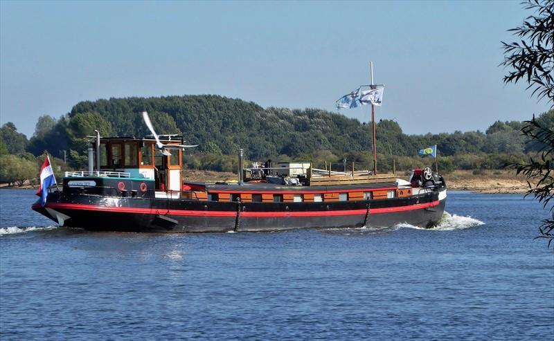 AUGUSTA MARIA - Vesseljoin