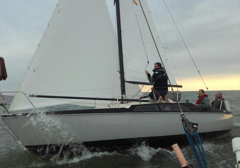 SLOE GIN - Vesseljoin