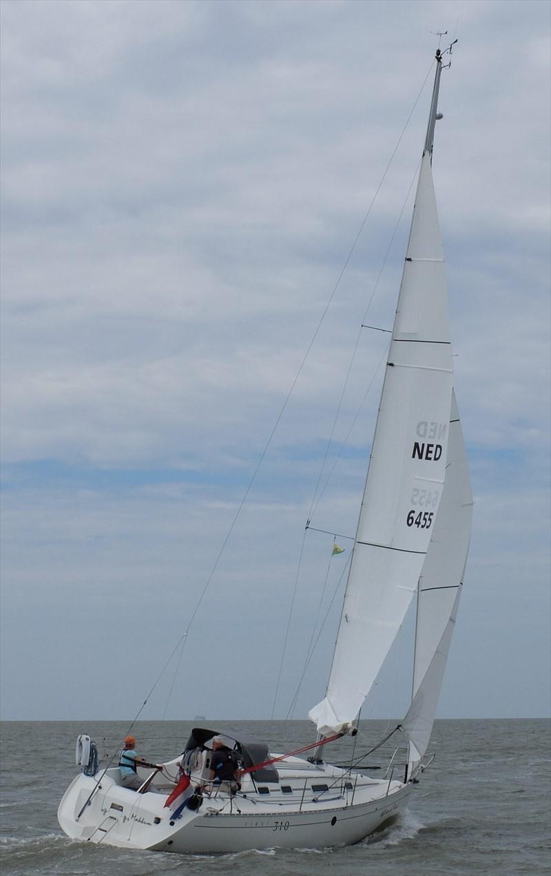 LEEFT VAN DE WIND - Vesseljoin