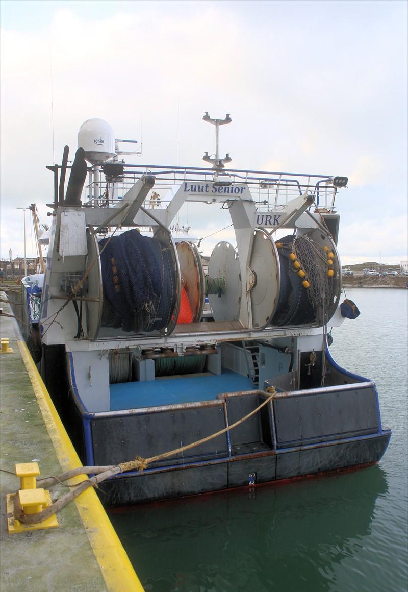 LUUT SENIOR - Vesseljoin