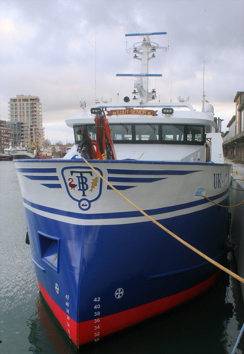 LUUT SENIOR - Vesseljoin