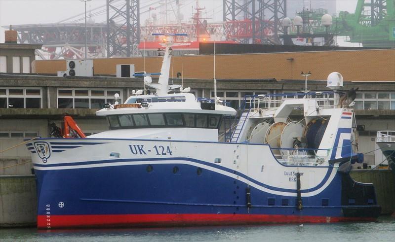 LUUT SENIOR - Vesseljoin