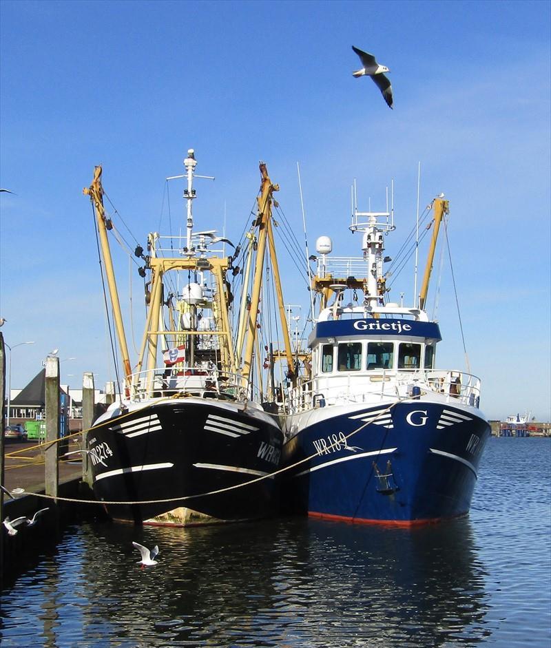 DIRK SENIOR - Vesseljoin