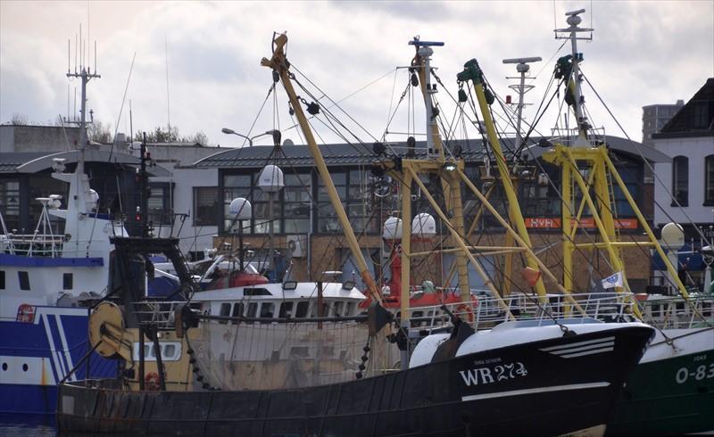 DIRK SENIOR - Vesseljoin