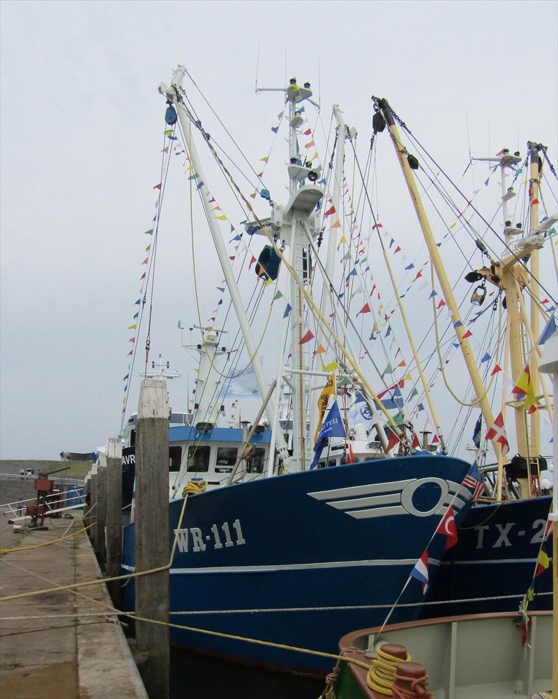 PIETER KEES - Vesseljoin