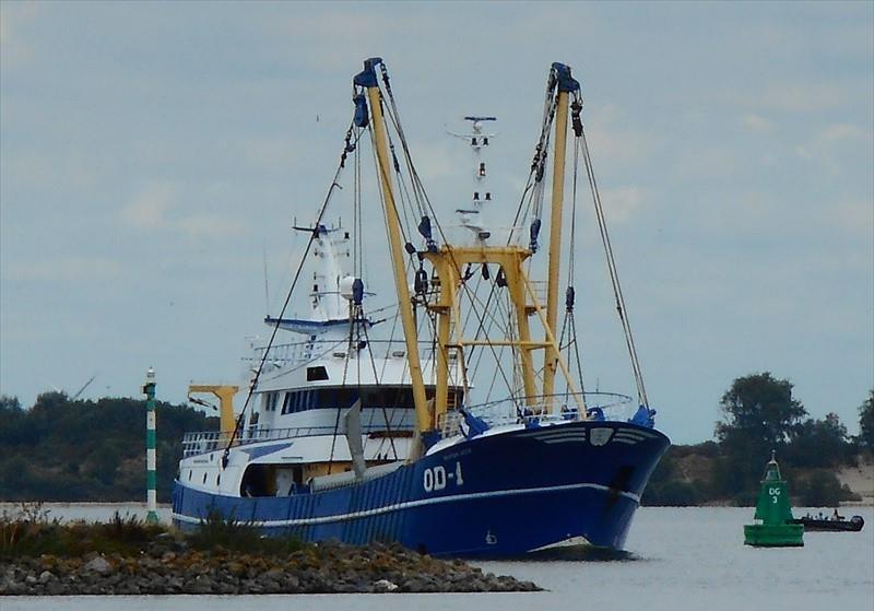 MAARTEN JACOB - Vesseljoin